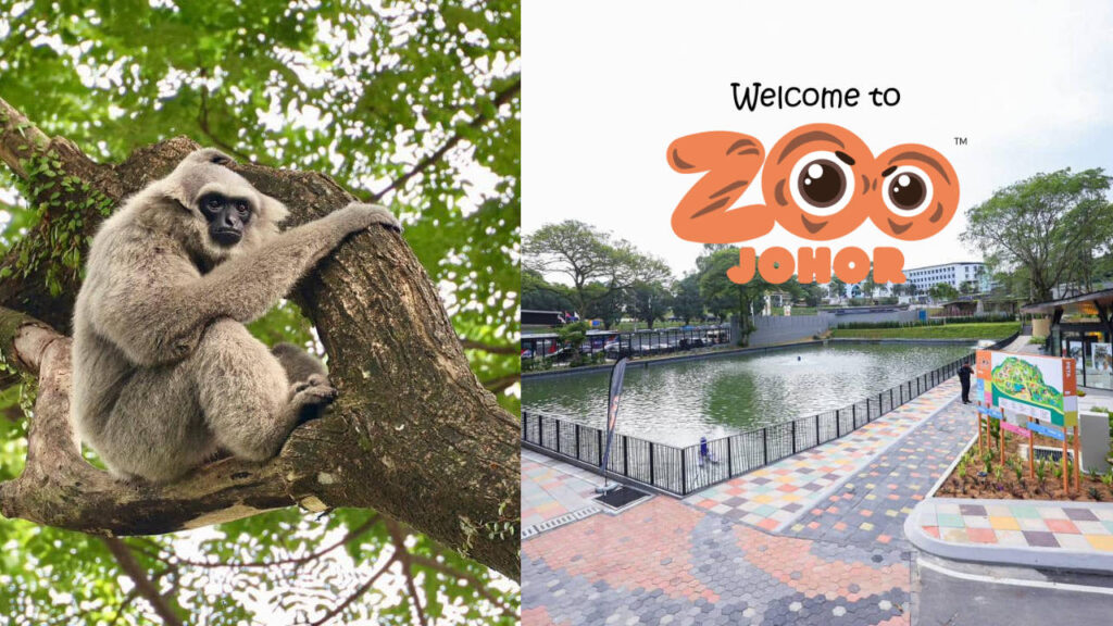 Senarai Harga Tiket Zoo Johor Terkini Tahun 2025